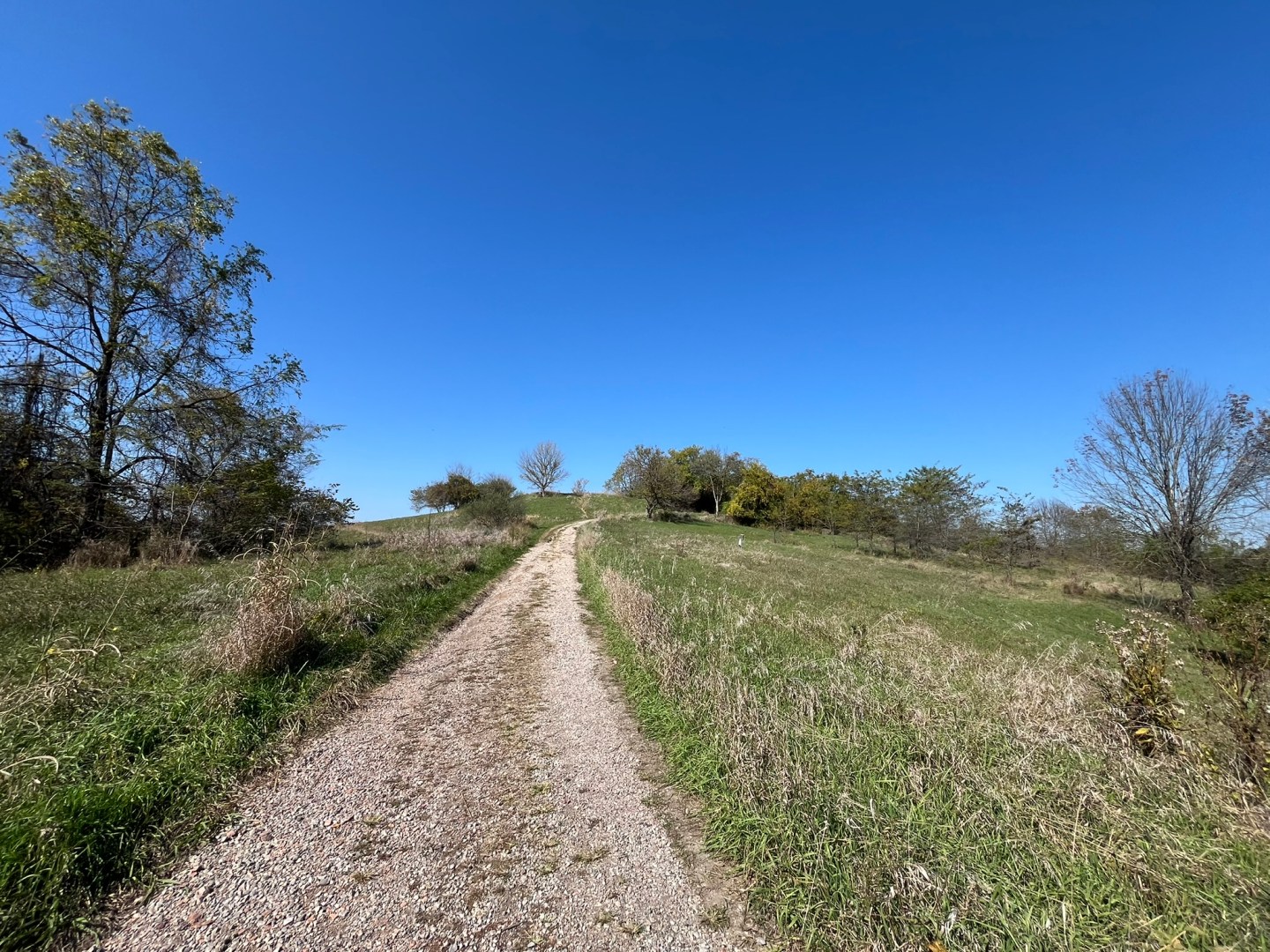 Hiking the Hills of Athens: Exploring The Ridges at Ohio University ...