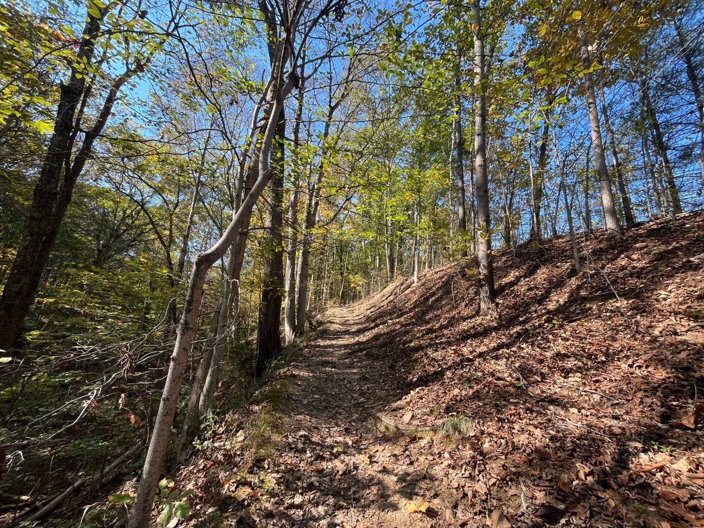 Hiking the Hills of Athens: Exploring The Ridges at Ohio University ...