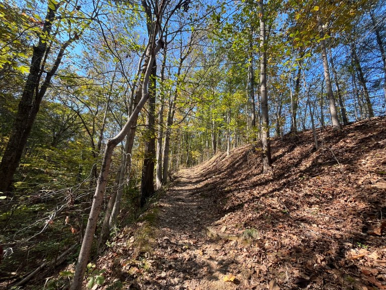 Hiking the Hills of Athens: Exploring The Ridges at Ohio University ...