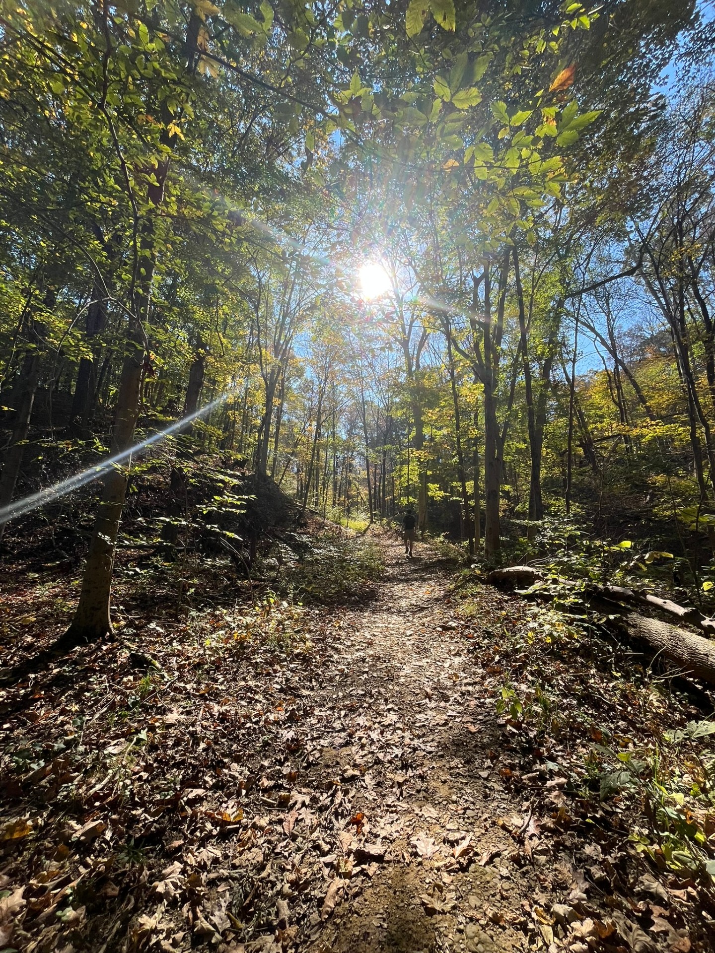 Hiking the Hills of Athens: Exploring The Ridges at Ohio University ...