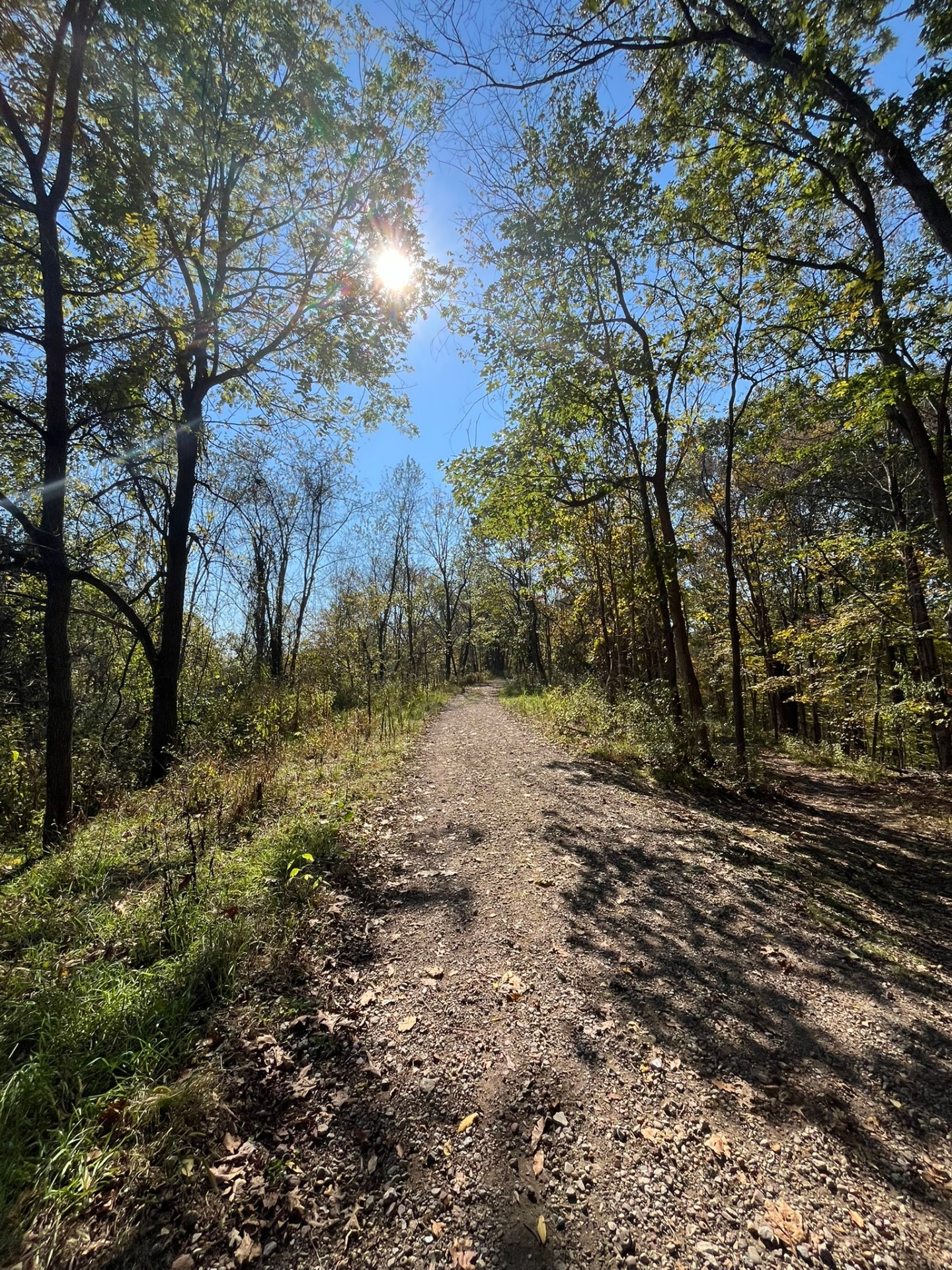 Hiking the Hills of Athens: Exploring The Ridges at Ohio University ...