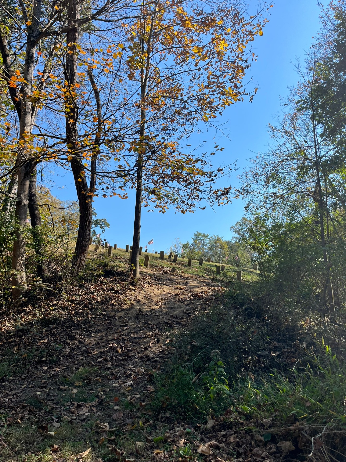 Hiking the Hills of Athens: Exploring The Ridges at Ohio University ...