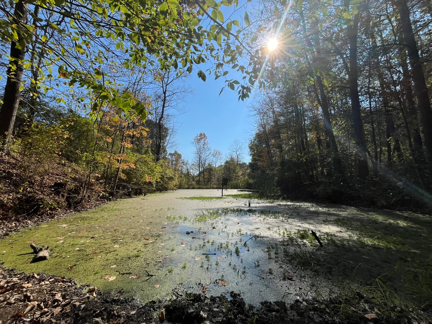 Hiking the Hills of Athens: Exploring The Ridges at Ohio University ...