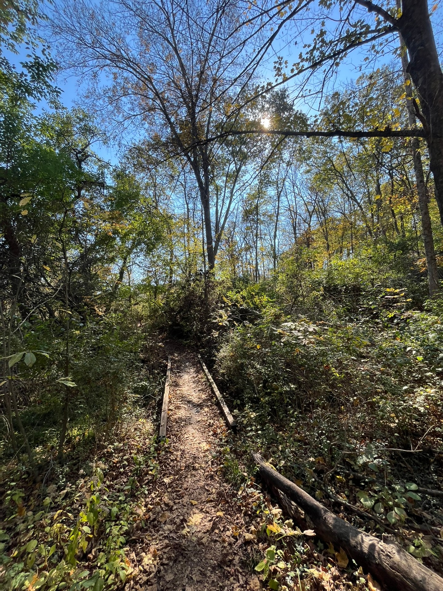 Hiking the Hills of Athens: Exploring The Ridges at Ohio University ...