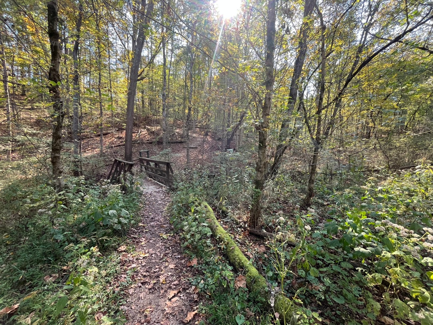 Hiking the Hills of Athens: Exploring The Ridges at Ohio University ...