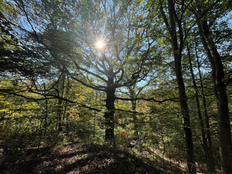 Hiking the Hills of Athens: Exploring The Ridges at Ohio University ...