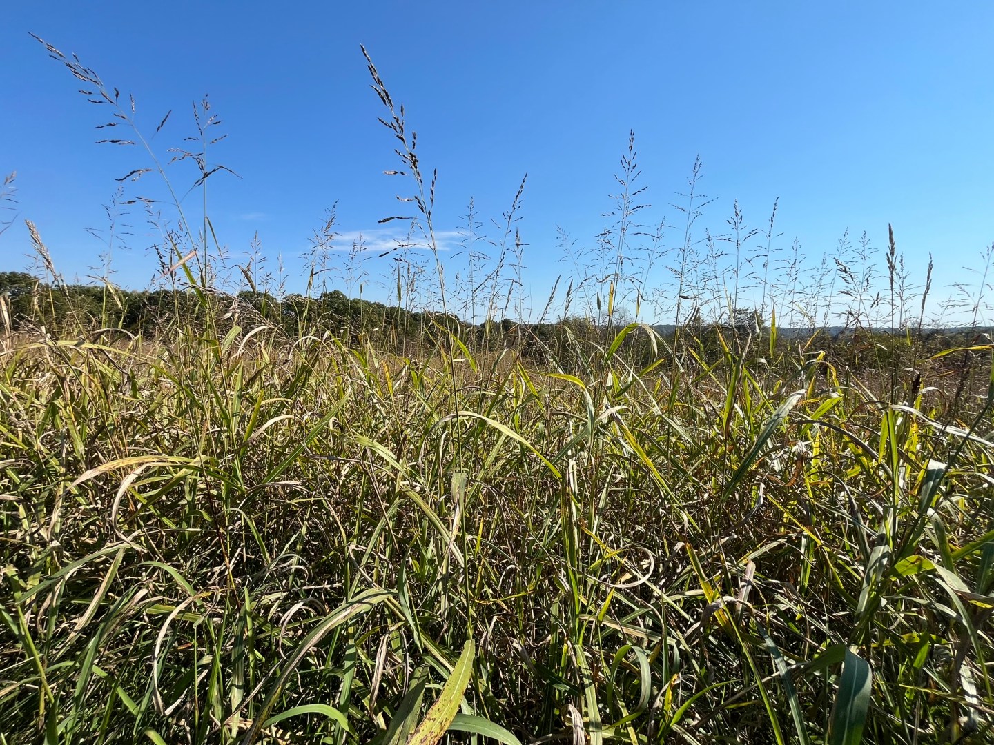 Hiking the Hills of Athens: Exploring The Ridges at Ohio University ...